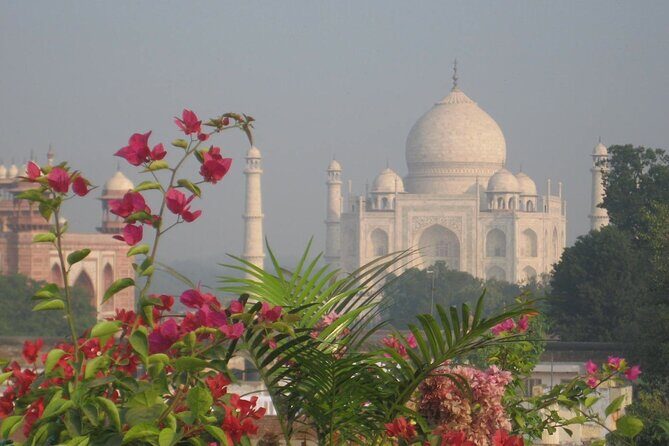 Exclusive Taj Mahal & Agra Fort Day Trip From Delhi by Car - Transportation and Convenience