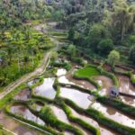 Exclusive Tetebatu: Waterfall, Rice Fields, Monkey & Weaving - Why This Tour Offers Great Value