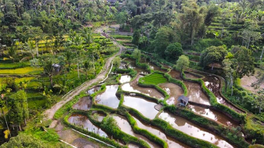 Exclusive Tetebatu: Waterfall, Rice Fields, Monkey & Weaving - Why This Tour Offers Great Value