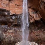 Exclusive Zion National Park Tours - Authentic Experiences and Reviews