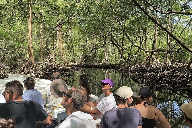 Excursion to Los Haitises and Redonda Mountain - Authentic Perspectives from Travelers