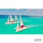 Excursion to Saona Island:Tropical Paradise whit Lunch - The Value of This Tour