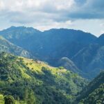 Exotic Blue Mountain Coffee Tour - What Makes This Tour Stand Out?