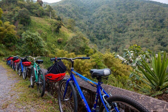 Exotic Full-Day Blue Mountain Bicycle Adventure - Authentic Experiences and Travel Tips