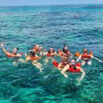 Exotic half day private charters to Rose Island, Pigs and Turtles - Itinerary Breakdown