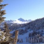 Exotic Manali Package - The Sum Up