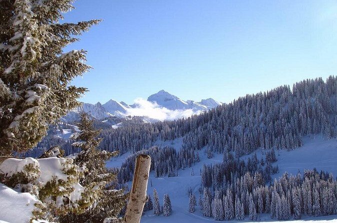 Exotic Manali Package - The Sum Up