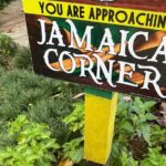 Exotic Ocho Rios Historical Sightseeing Tour - Authentic Experiences and Visitor Feedback