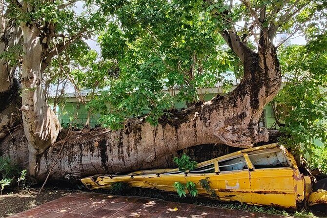 Experience City with Bus Hop on Hop Off Tours - Sulphur Hot Springs: Relaxation in a Volcanic Setting