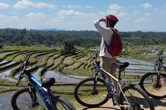 Experience Cycling Tour to Bali UNESCO Heritage Site in Jatiluwih - The Itinerary Breakdown: What to Expect