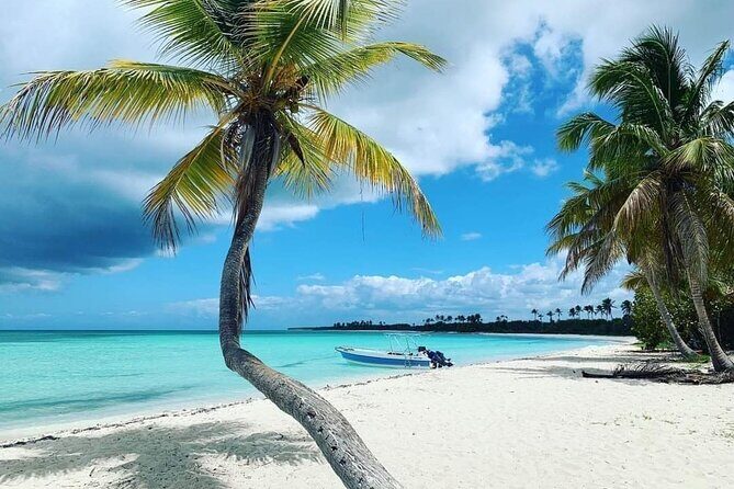 Experience Full Day Tour of Tropical Bliss at Isla Saona - Authentic Experiences and Authentic Challenges