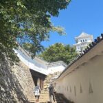 Experience Himeji Castle with a Local University Student Guide - Who Is This Tour Best For?