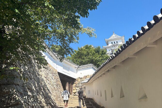 Experience Himeji Castle with a Local University Student Guide - Who Is This Tour Best For?