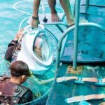 Experience Nha Trang Sea Walk and Traditional Seafood Cuisine - Who Would Love This Tour?