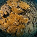 Experience Scuba - What to Expect from the Experience Scuba Tour