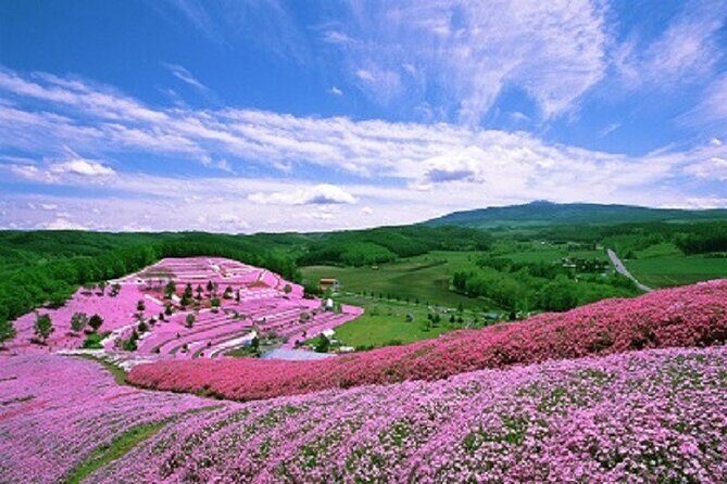 Experience Shibazakura and Kamiyubetsu Tulips in 2 days - Practical Tips for Travelers