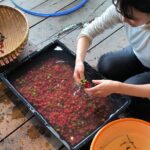 Experience Specialty Coffee with Sustainable Coffee Farmers - A Detailed Look at the Tour