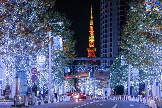 Experience the Magic of Christmas in Tokyo - Key Highlights of the Itinerary