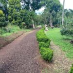 Experience the natural beauty and culture half day tour - Real Traveler Insights