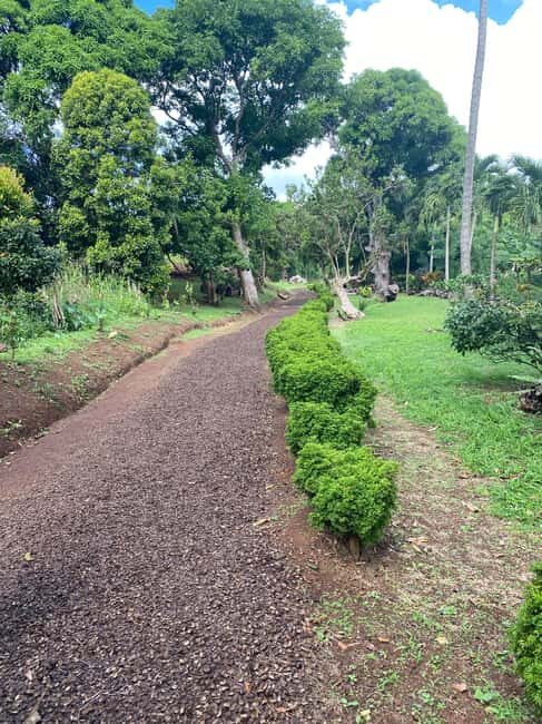 Experience the natural beauty and culture half day tour - Real Traveler Insights