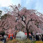 Experience Tokyo with Asakusa Walking Tour - What to Expect During the Tour