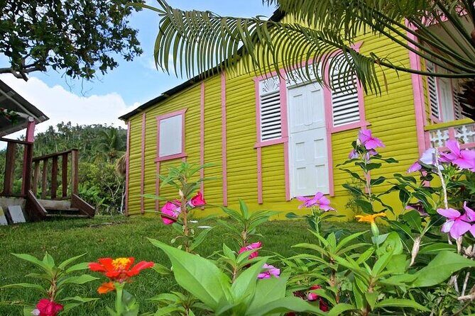 Experiencia cultural de Medio Día en Punta Cana - Authenticity and Insights from Reviews