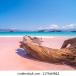 Explore 6 Favorite Destinations Labuan Bajo - Who Is This Tour Best For?