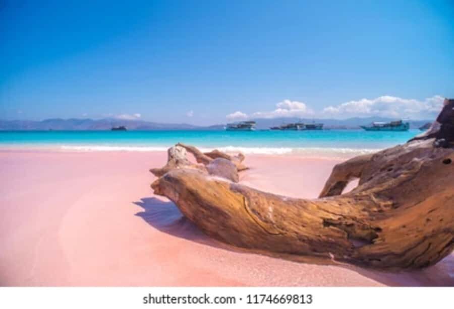 Explore 6 Favorite Destinations Labuan Bajo - Who Is This Tour Best For?