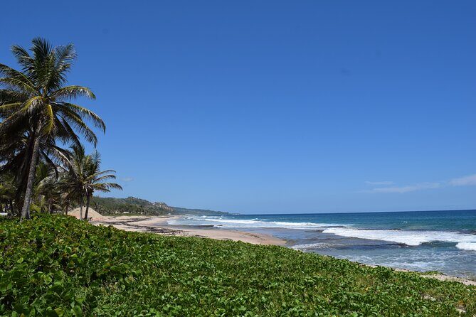 Explore and Discover Barbados By Land & By Sea - Who Is This Tour Best For?