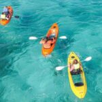 Explore Aruba Coastline with Kayaking Tour - The Realities and Limitations