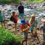 Explore Authentic Guadeloupe with a Local Multilingual Guide - Day-by-Day Breakdown