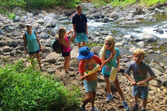 Explore Authentic Guadeloupe with a Local Multilingual Guide - Day-by-Day Breakdown