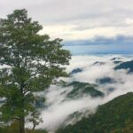 Explore Bach Ma National Park From Hue - Why This Tour Offers Good Value