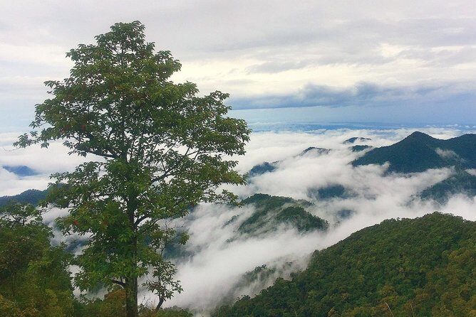 Explore Bach Ma National Park From Hue - Why This Tour Offers Good Value