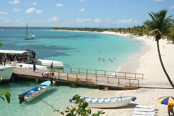 Explore Catalina Island & Snorkeling Adventure from Punta Cana - The Experience: Pros and Cons