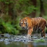 Explore Delhi,Agra,Jaipur Tour 3 Night 4 Days ByCar +Guide+Ticket - Day 3: Jaipur’s Palaces and Pink Streets