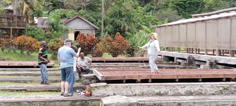 Explore Grenada's Magic: Private Spice Island Tour - What the Tour Means for You