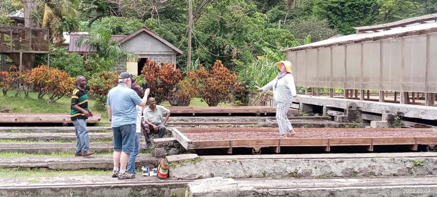 Explore Grenada's Magic: Private Spice Island Tour - What the Tour Means for You