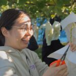 Explore Hidden Japan: Obuse Bike Tour & Orchard Picnic - Who Should Take This Tour?