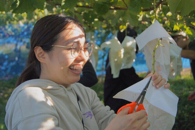 Explore Hidden Japan: Obuse Bike Tour & Orchard Picnic - Who Should Take This Tour?