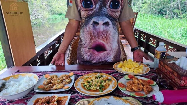 Explore Jungle in Borneo and Orangutan Kelotok Tour 3D/2N - Considerations and Practicalities