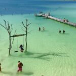 Explore Kaan Luum Lagoon and Two Cenotes - Who This Tour Is Perfect For