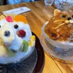 Explore Kagoshima Sightseeing Spots by Kagoshima City View Bus - FAQ