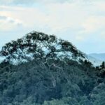 Explore Kep town & the national park hiking include lunch - Deep Dive into the Itinerary