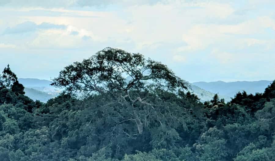 Explore Kep town & the national park hiking include lunch - Deep Dive into the Itinerary