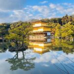 Explore Kyoto in Style: Temples, Shrines & Cultural Highlights - The Logistics: Comfort and Convenience