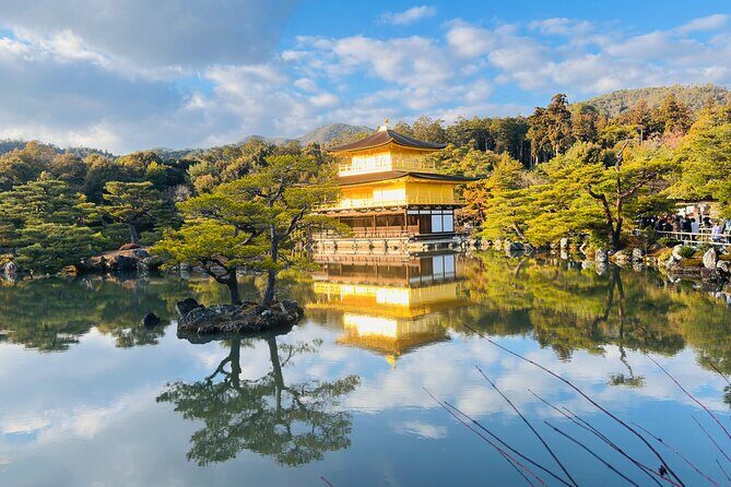 Explore Kyoto in Style: Temples, Shrines & Cultural Highlights - The Logistics: Comfort and Convenience