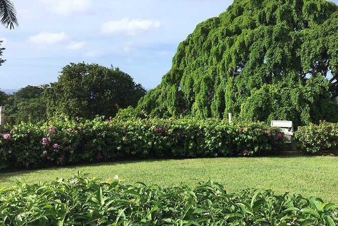 Explore Montego Bay Jamaica Rose Hall Great House Day/Night Tour - Who Will Love This Tour?