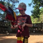 Explore Montego Bay to Exotic Birds and Herb Farm from MontegoBay - The Sum Up