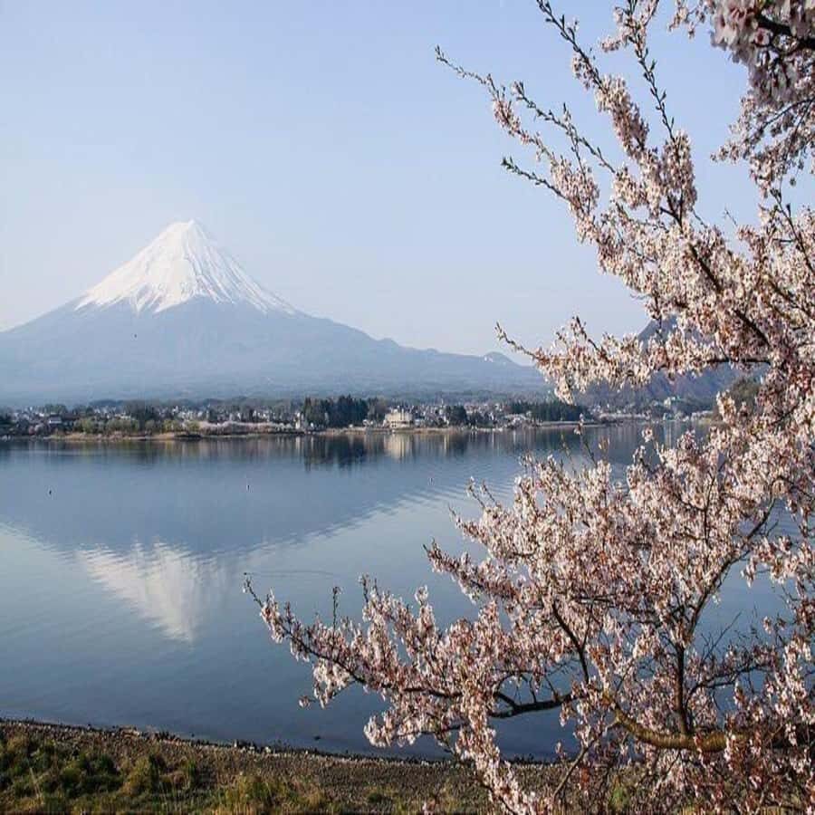 Explore Mount Fuji: Private Tour with English Guide - Whats the Experience Like?